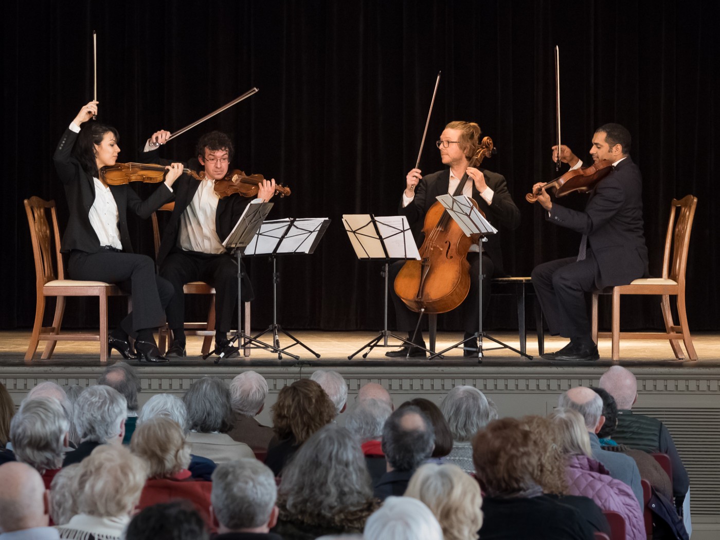 Haven String Quartet Photo Gallery | George Flynn